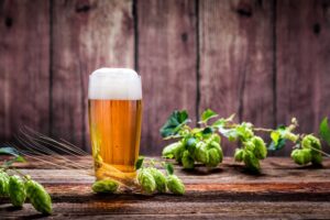 Birra Pils (o Pilsner): ecco tutte le sue caratteristiche